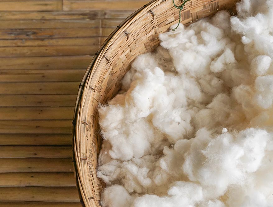 Qu’est-ce que le kapok ? – livasia.fr